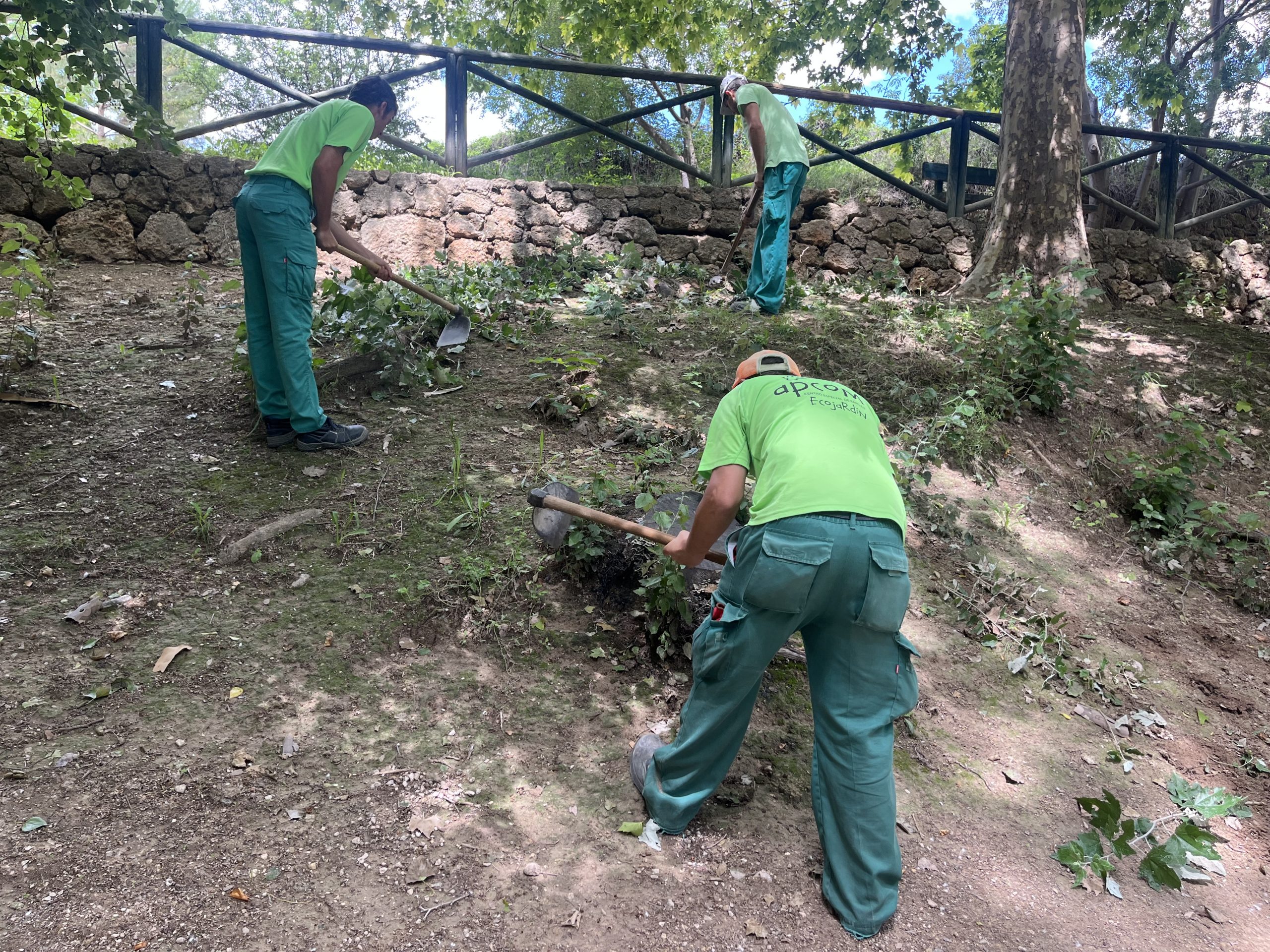 Centro Especial de Empleo - APCOM