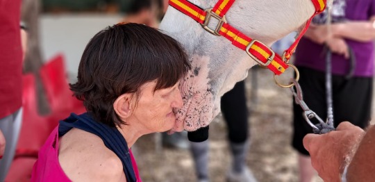 Metodologías de trabajo - APCOM